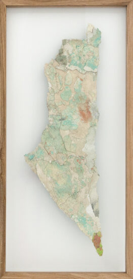 Tropic of Perception - AMES YAVUZ